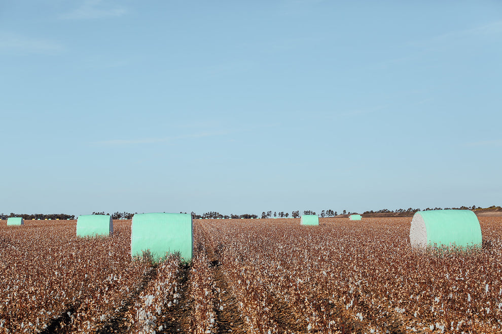 Cotton Module wrap with RFID tags and Sticky layer | Plant & Pick ...